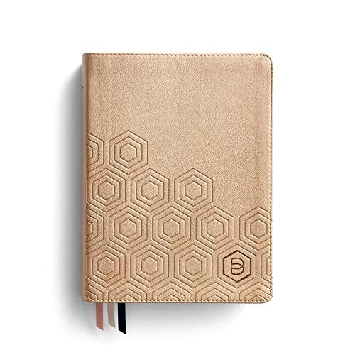NLT, One Step Closer Bible (Gold, LeatherLike) by DaySpring - Book Outlet